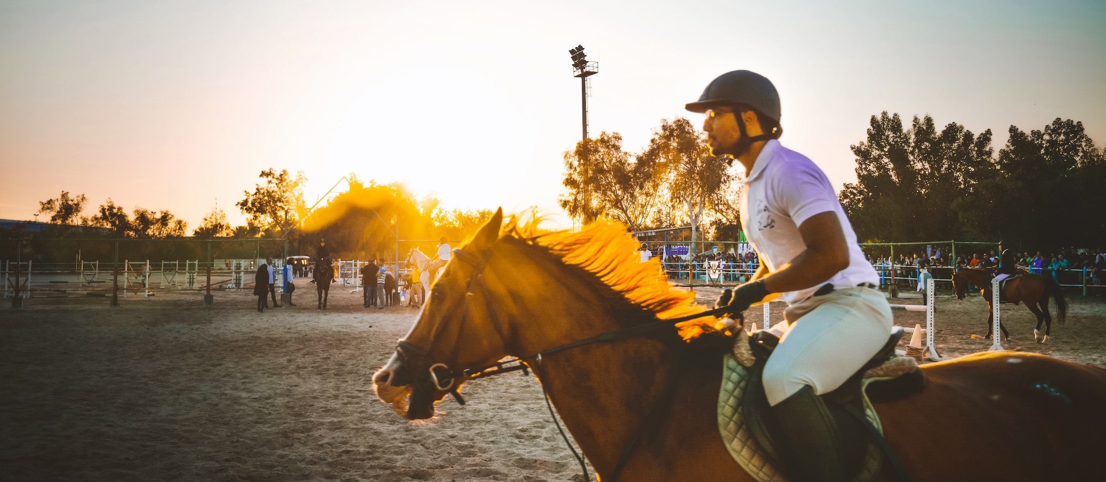 kiarash-mansouri-TqmM-D75mf0-unsplash-min | Edenside Stables